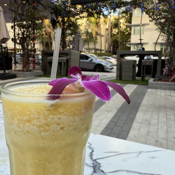 SOLA - Updated January 2026 - 637 Photos & 240 Reviews - 1000 Collins ...