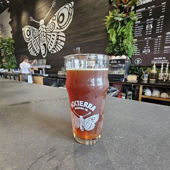 NOCTERRA BREWING CO. - AUDUBON - Updated May 2025 - 65 Photos & 25 ...