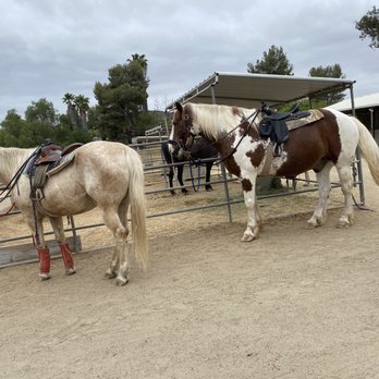 SUSIE Q RANCH - Updated October 2025 - 241 Photos & 199 Reviews - 28330 ...