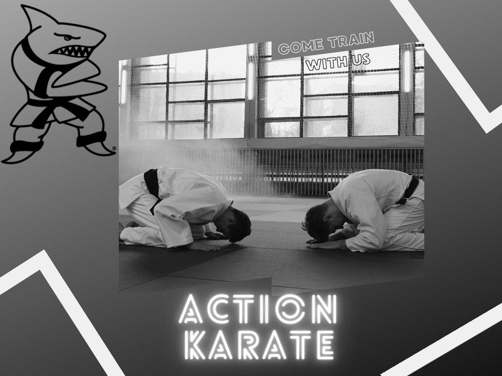 ACTION KARATE - SOUTH PHILADELPHIA - Updated October 2025 - 1731-33 S ...