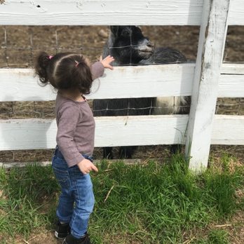 FLAMIG FARM - Updated November 2025 - 393 Photos & 73 Reviews - 7 ...