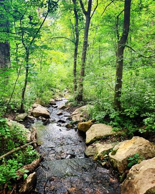 LONGVIEW FARM PARK - Updated August 2024 - 69 Photos & 17 Reviews ...