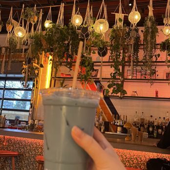 MUCHACHO - Updated July 2025 - 1179 Photos & 576 Reviews - 904 Memorial ...