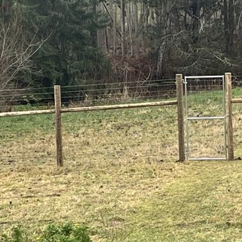 KIWI FENCING - Updated January 2026 - 13 Photos - 13108 125th Ct, Gig ...