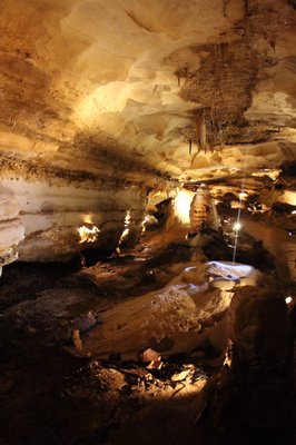 Inner Space Cavern - 648 Photos & 283 Reviews - Tours - 4200 S IH-35 ...
