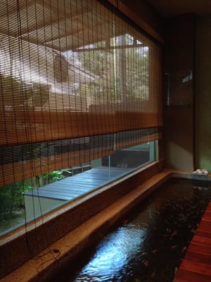 HERBALINE FACIAL SPA - Updated May 2026 - Hautes-Pyrénées, Jalan SS14/2 ...