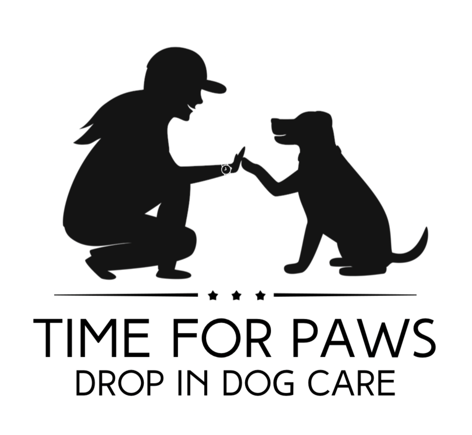 TIME FOR PAWS near you at South Burlington, Vermont - Request a Quote ...