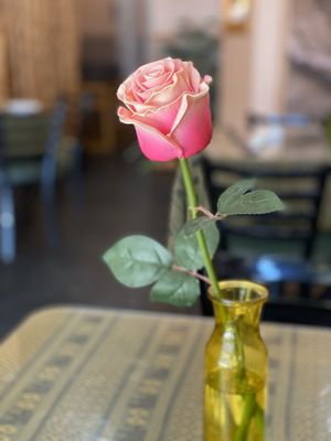 SAWADDEE KA THAI CUISINE AND PHO - 217 Photos & 178 Reviews - 111 Canal ...