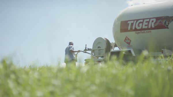 TIGER FUEL - Updated July 2025 - 66 Photos & 14 Reviews - 200 Carlton ...