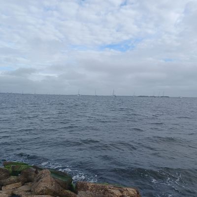 SAND POINT PARK - Updated April 2026 - 36 Photos & 11 Reviews - 419 N ...