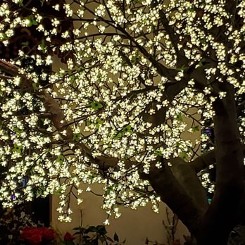 CRYSTAL BAY CLUB - Updated May 2025 - 197 Photos & 158 Reviews - 14 Hwy ...