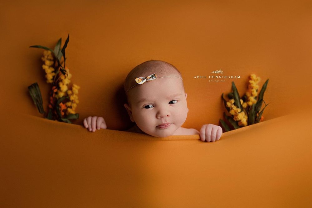 APRIL CUNNINGHAM PHOTOGRAPHY - Request a Quote - 28 Photos - 1006 ...