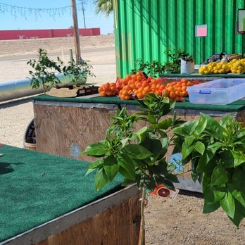 THE LEMON GROVE - Updated September 2024 - 10 Photos - 4200 E County ...