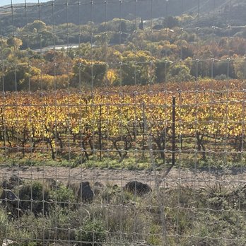 DA RANCH - Updated December 2025 - 375 Photos & 150 Reviews - 1901 N ...