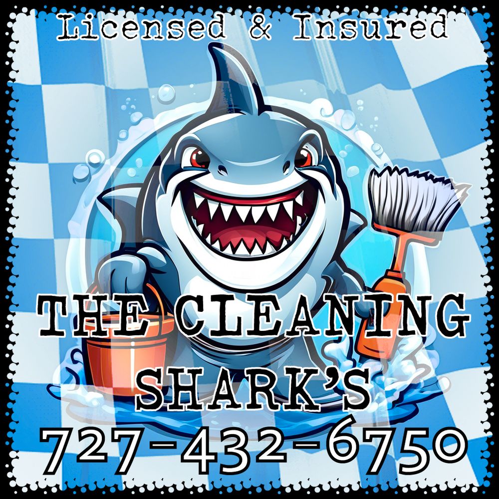 THE CLEANING SHARKS - Updated June 2024 - St. Petersburg, Florida ...