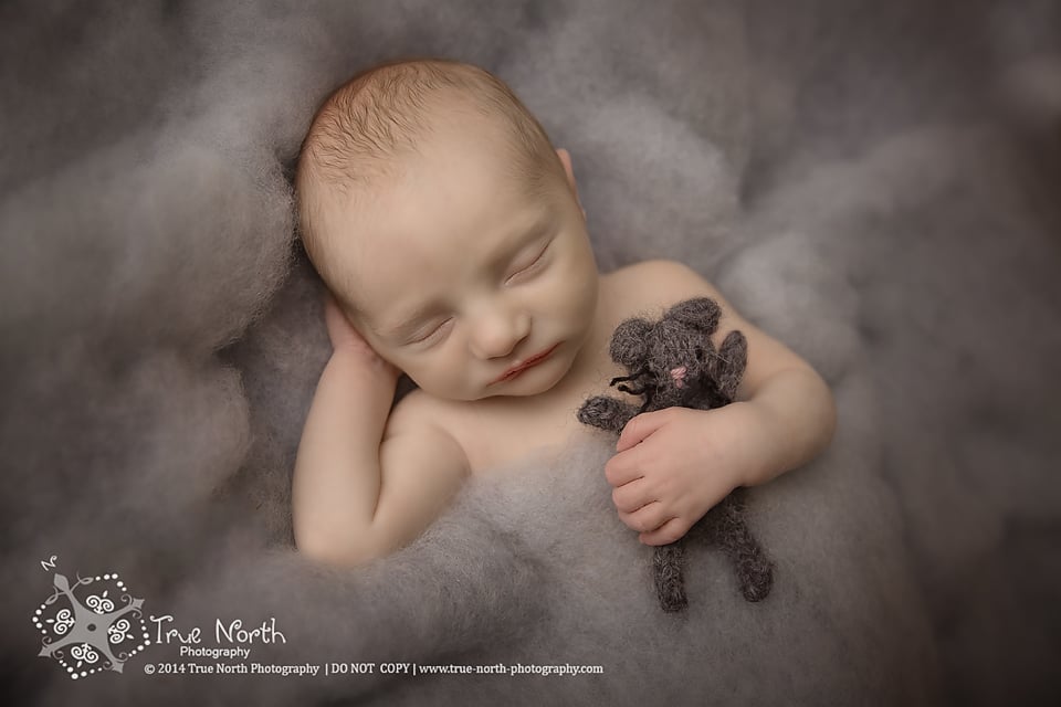 TRUE NORTH PHOTOGRAPHY - Updated April 2025 - 11 Photos - Pensacola ...