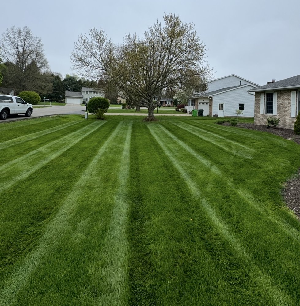 PRECISION LAWN CARE - Updated May 2026 - Request a Quote - 291 25th St ...