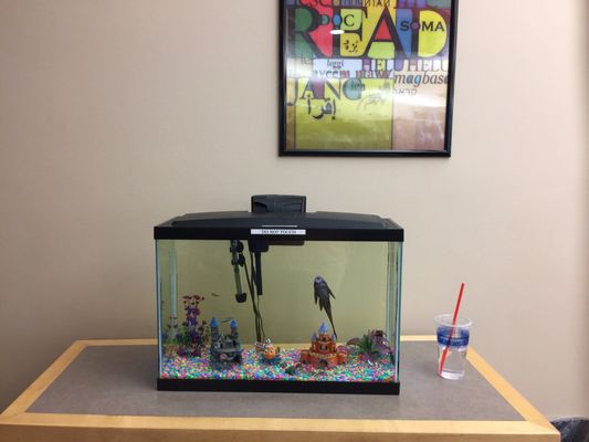 FARR REGIONAL LIBRARY - Updated October 2025 - 66 Photos - 1939 61st ...