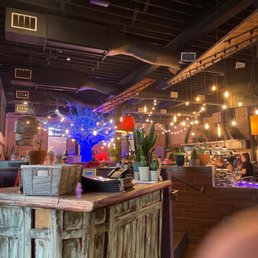 ANGRY CACTUS - Updated May 2025 - 339 Photos & 343 Reviews - 1 W Concho ...