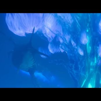 AMC BURLESON 14 - Updated October 2024 - 41 Photos & 56 Reviews - 301 W ...