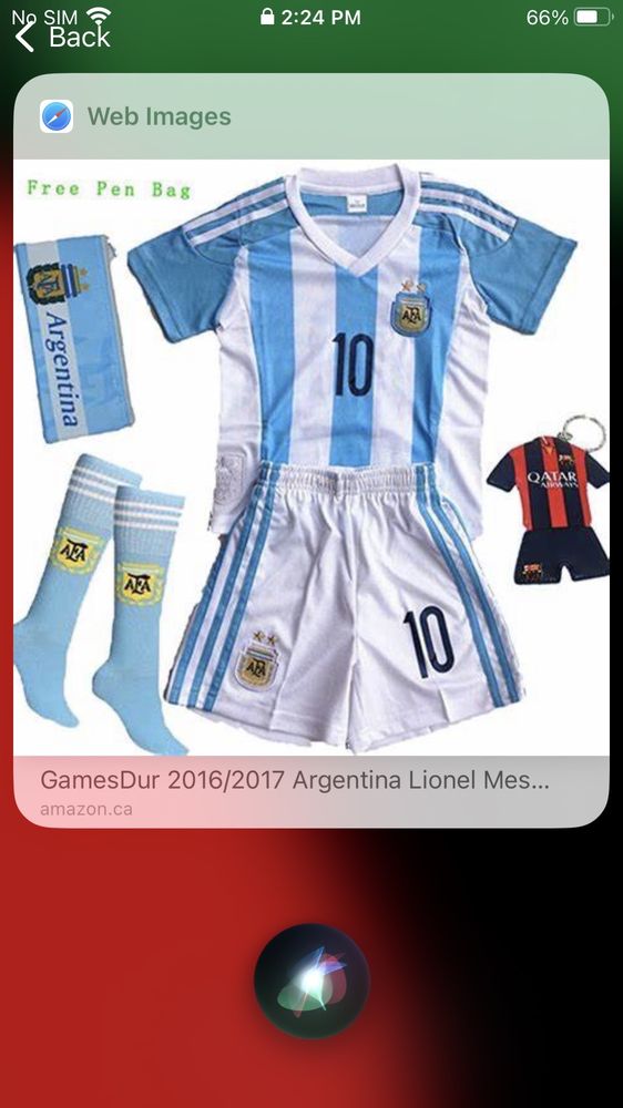 SOCCER ZONE - Updated April 2026 - 15 Photos & 12 Reviews - 2910 ...