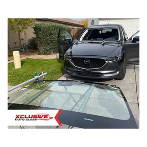 BLUE CHIP AUTO GLASS - 314 Photos & 541 Reviews - 2214 W Bell Rd ...