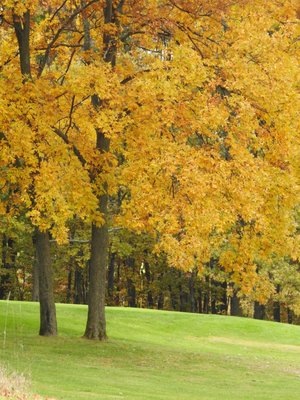 CEDAR CHASE GOLF CLUB - Updated December 2025 - 33 Reviews - 7551 17 ...