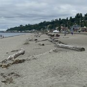 ALKI BEACH PARK - 1248 Photos & 368 Reviews - 2665 Alki Ave SW, Seattle ...