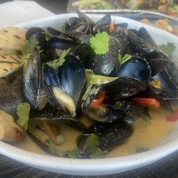 POPSTROKE - 34 Photos & 23 Reviews - 1314 N Federal Hwy, Delray Beach ...