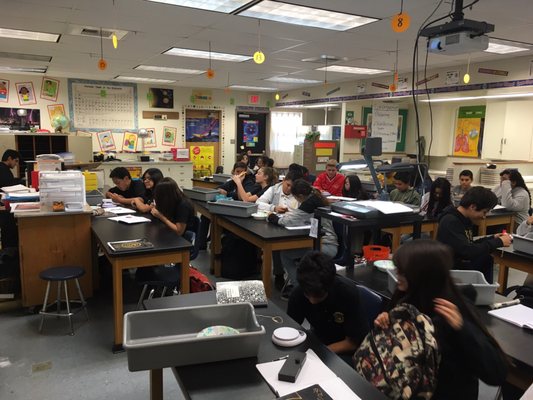 BALL JUNIOR HIGH SCHOOL - Updated January 2026 - 124 Photos - 1500 W ...