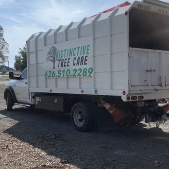 DISTINCTIVE TREE SERVICE - Updated December 2025 - 31 Photos - Glendora ...