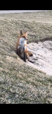 FALCON VALLEY GOLF COURSE - Updated October 2025 - 11 Reviews - 9801 ...