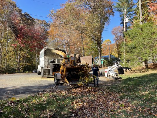 MTS-PRO TREE SERVICE & LANDSCAPING - Updated December 2024 - 65 Photos ...