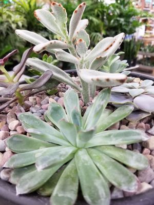 PARKROSE HARDWARE - Updated November 2024 - 86 Photos & 102 Reviews ...