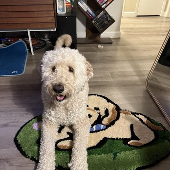 528 ENTERTAINMENT SAN JOSE - Updated November 2024 - 144 Photos & 60 ...