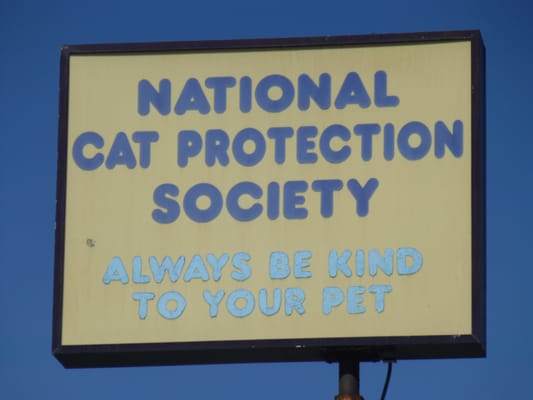 NATIONAL CAT PROTECTION SOCIETY - Updated October 2025 - 25 Photos & 30 ...