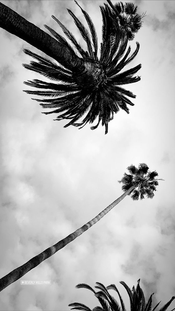 WEST HOLLYWOOD PARK - 106 Photos & 83 Reviews - 647 N San Vicente Blvd ...