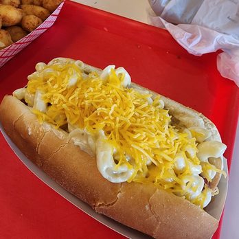 HAUTE DOGGERY - Updated August 2025 - 782 Photos & 492 Reviews - 3545 S ...