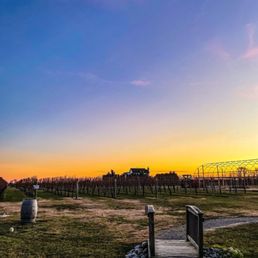 AUBURN ROAD VINEYARD AND WINERY - Updated July 2025 - 220 Photos & 164 ...