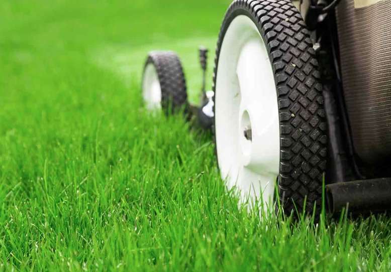 JESSICA JONES LAWN CARE SERVICE - Updated December 2025 - Savannah ...