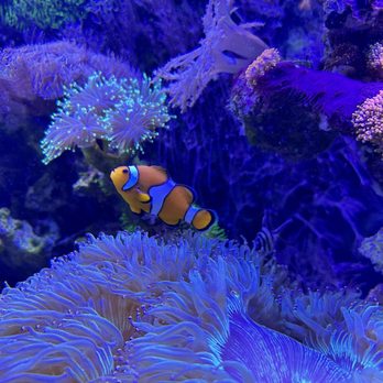 ELECTRIC CITY AQUARIUM AND REPTILE DEN - Updated March 2026 - 70 Photos ...
