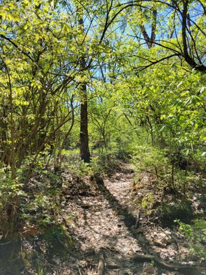 BIG RUN PARK - Updated October 2025 - 14 Photos - 4201 Clime Rd ...