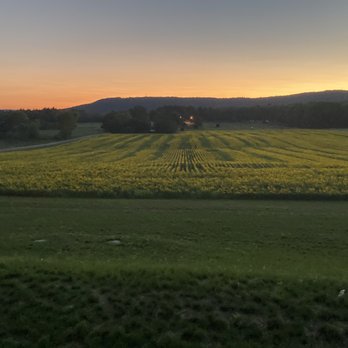 Dancing Grain Farm Brewery - Reserve Now - Attraction Farms - Updated ...