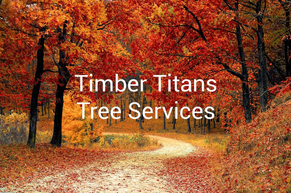 TIMBER TITANS TRES SERVICES - Updated July 2024 - Request a Quote ...