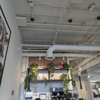 DRIP HOUSE - Updated December 2025 - 36 Photos - 121 Parkdale Avenue ...