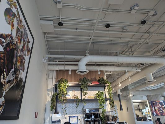 DRIP HOUSE - Updated October 2025 - 36 Photos - 121 Parkdale Avenue ...