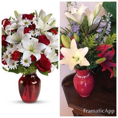 BELLA ROSE FLOWERS & GIFTS - Updated January 2026 - 75 Photos - 10 ...