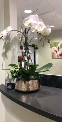 DR. SHIDA SAAM - Updated June 2024 - 18 Photos & 125 Reviews - 16300 Sand Canyon, Irvine ...