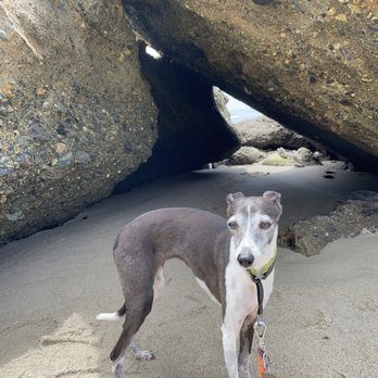 GOFF ISLAND COVE - Updated December 2025 - 28 Photos - Laguna Beach ...