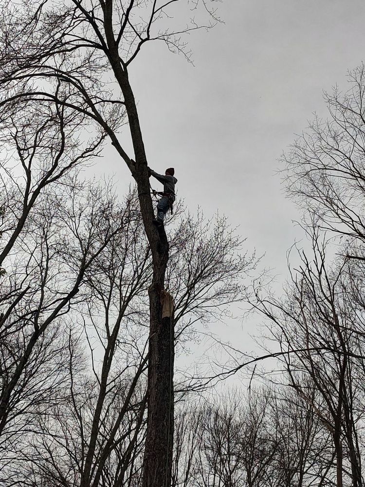 HUCKLEBERRY TREE SERVICES - Updated December 2024 - 10 Photos ...